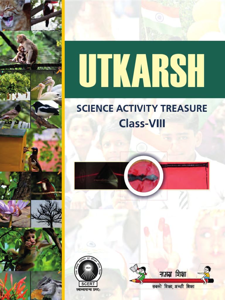 Science Activity Class 8 Eng (1) | PDF | Microorganism | Fibers