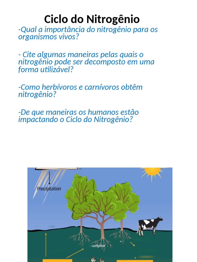 tirinha do ciclo do nitrogênio | PDF | Nitrogênio