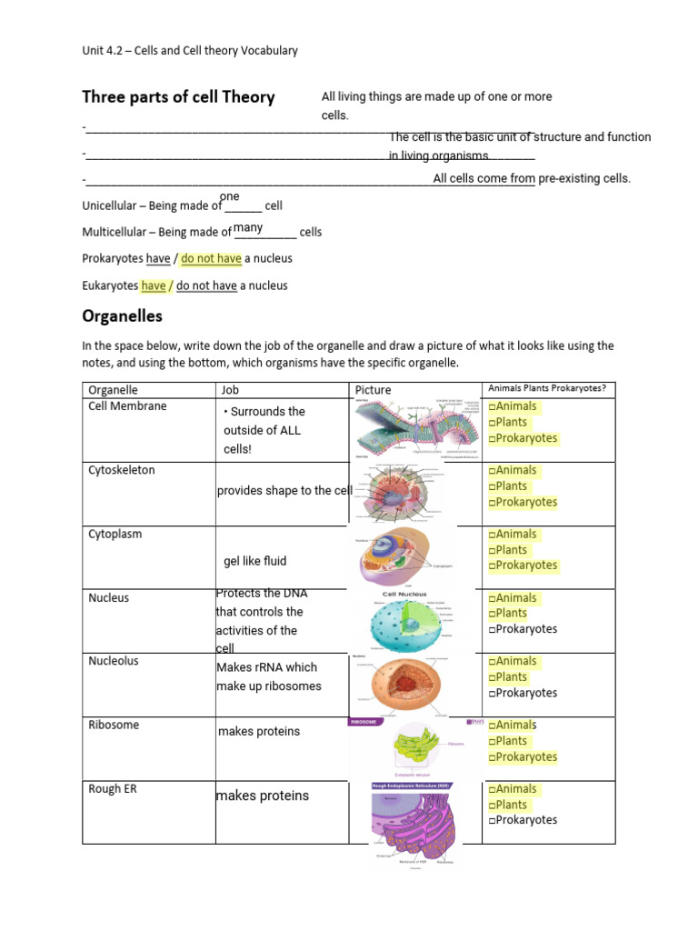 Dylan Beltran-Zavala - cell notes handout | PDF | Cell (Biology ...
