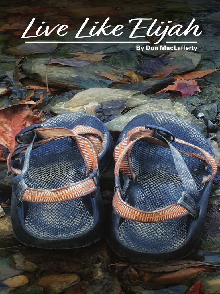 983+ +Live+Like+Elijah 2 | PDF | Elijah | Books Of Kings