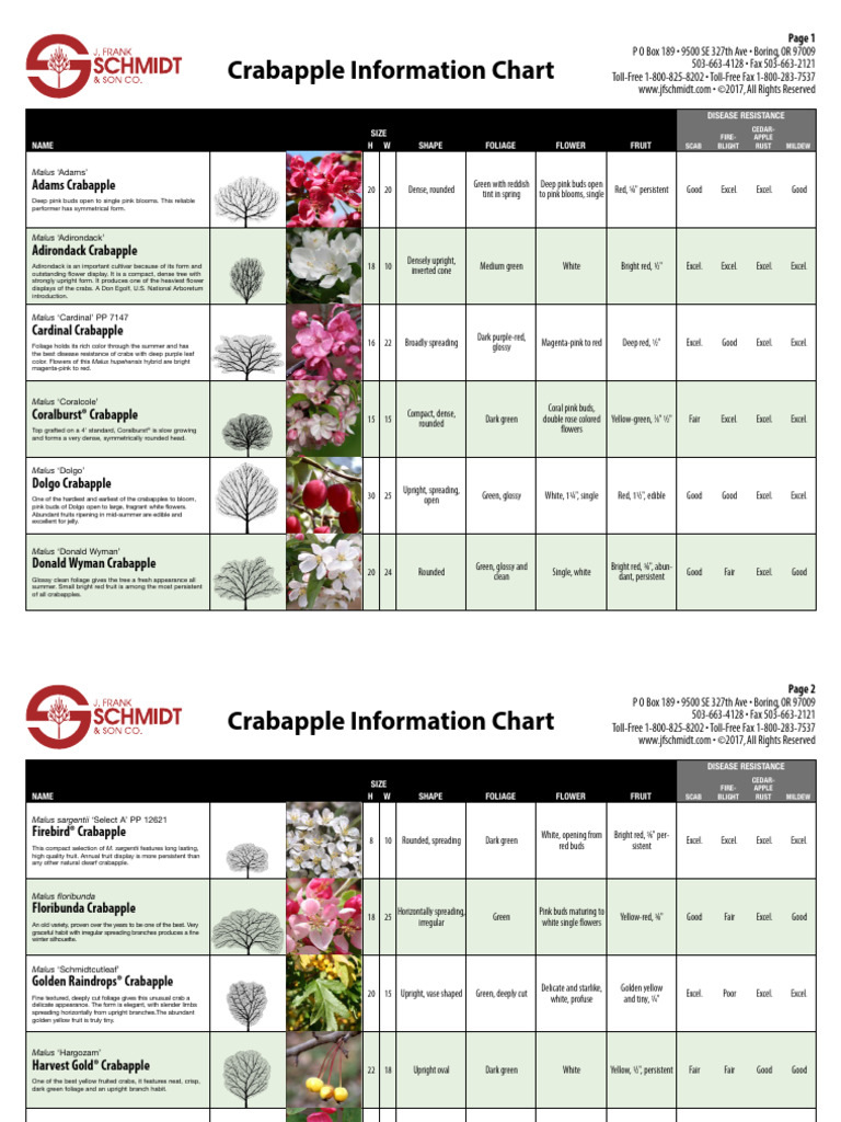 Crabapple Trees Fruit Flower Shape Chart | PDF | Mali | Apple