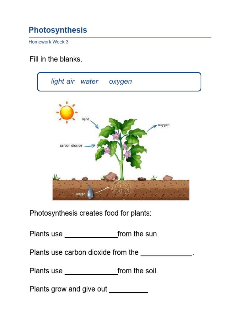Photosynthesis Homework Week 3 Guide | PDF