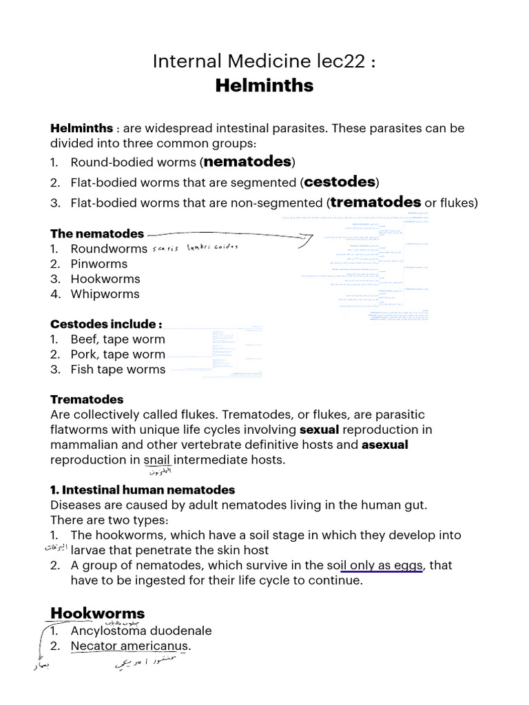 Lec22, Helminths | PDF