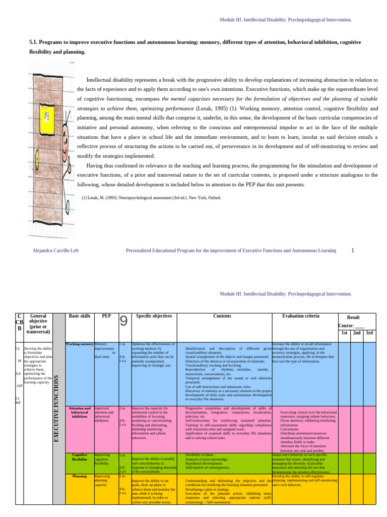 Personalized Educational Program (PEP) To Develop Executive Functions ...