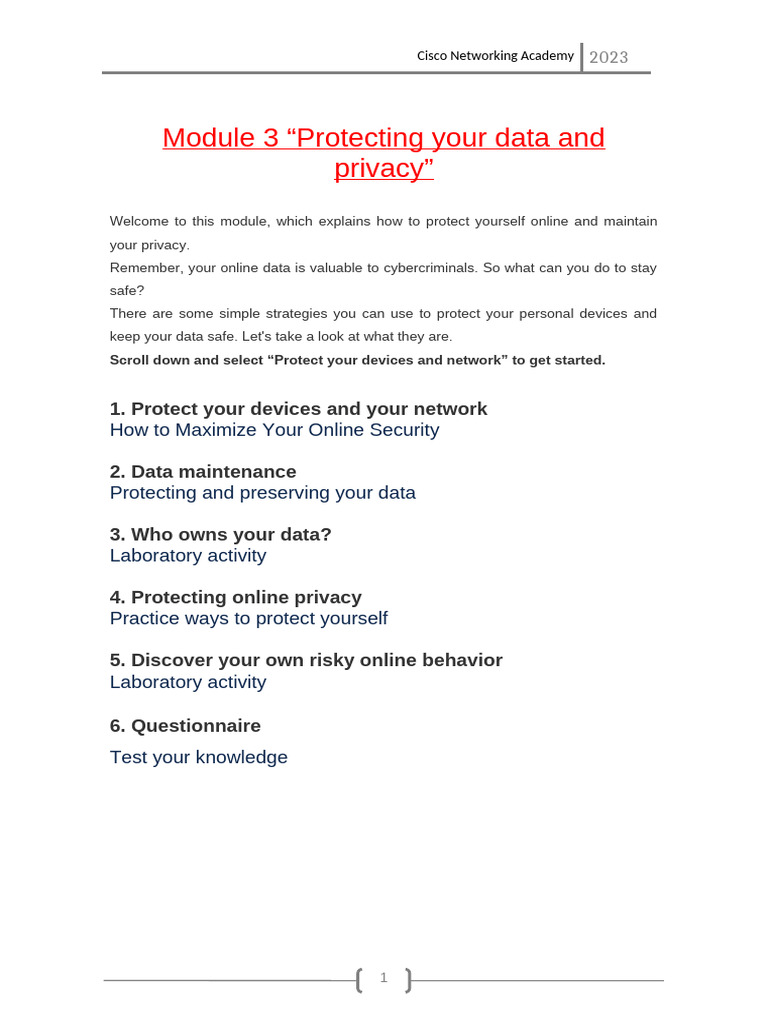 Safeguarding Your Online Privacy | PDF | Security | Computer Security