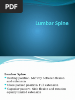 Lumbar Spine Special Tests Overview | PDF | Anatomical Terms Of Motion ...