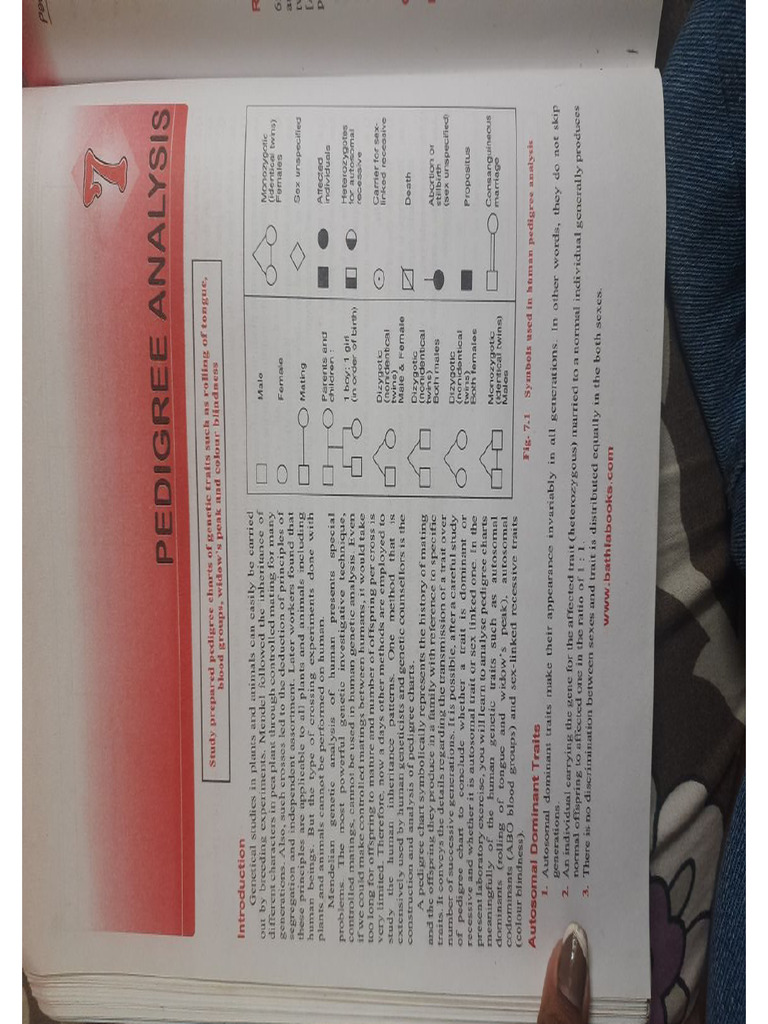 Pedigree Analysis | PDF