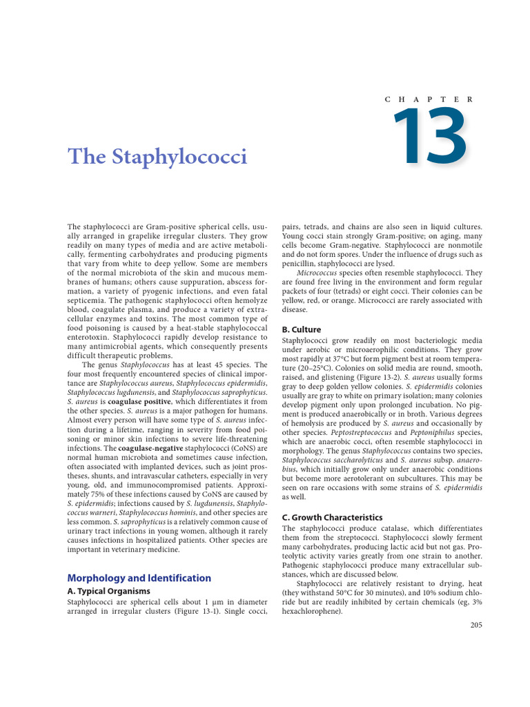 Staphy I Strepto | PDF | Staphylococcus | Staphylococcus Aureus