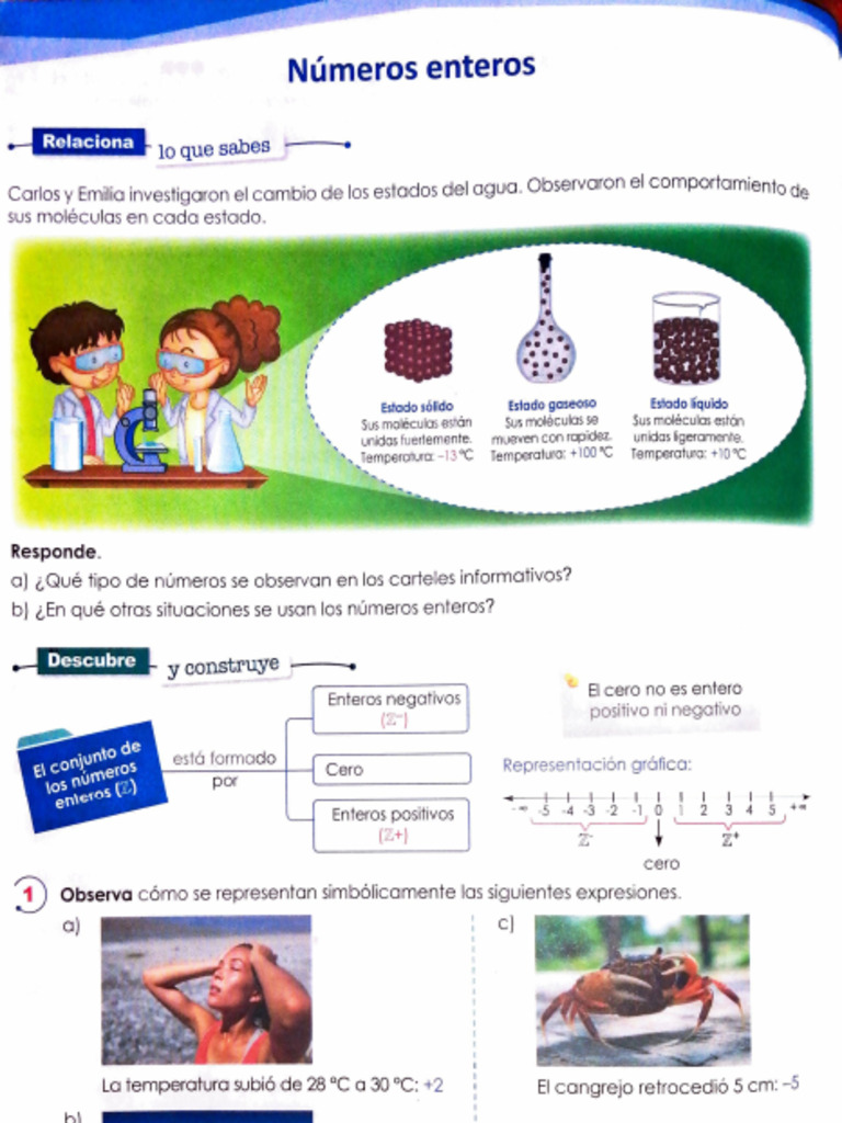 5to Primaria Numeros Enteros | PDF
