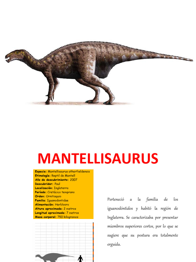 Mantellisaurus: El Iguanodóntido Inglés | PDF