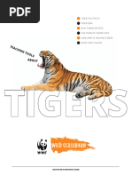 Life Cycle of Tiger | PDF