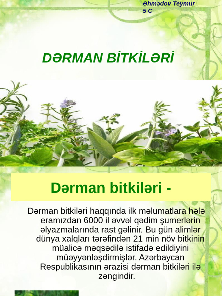 Dərman Bitkiləri Təqdimat | PDF