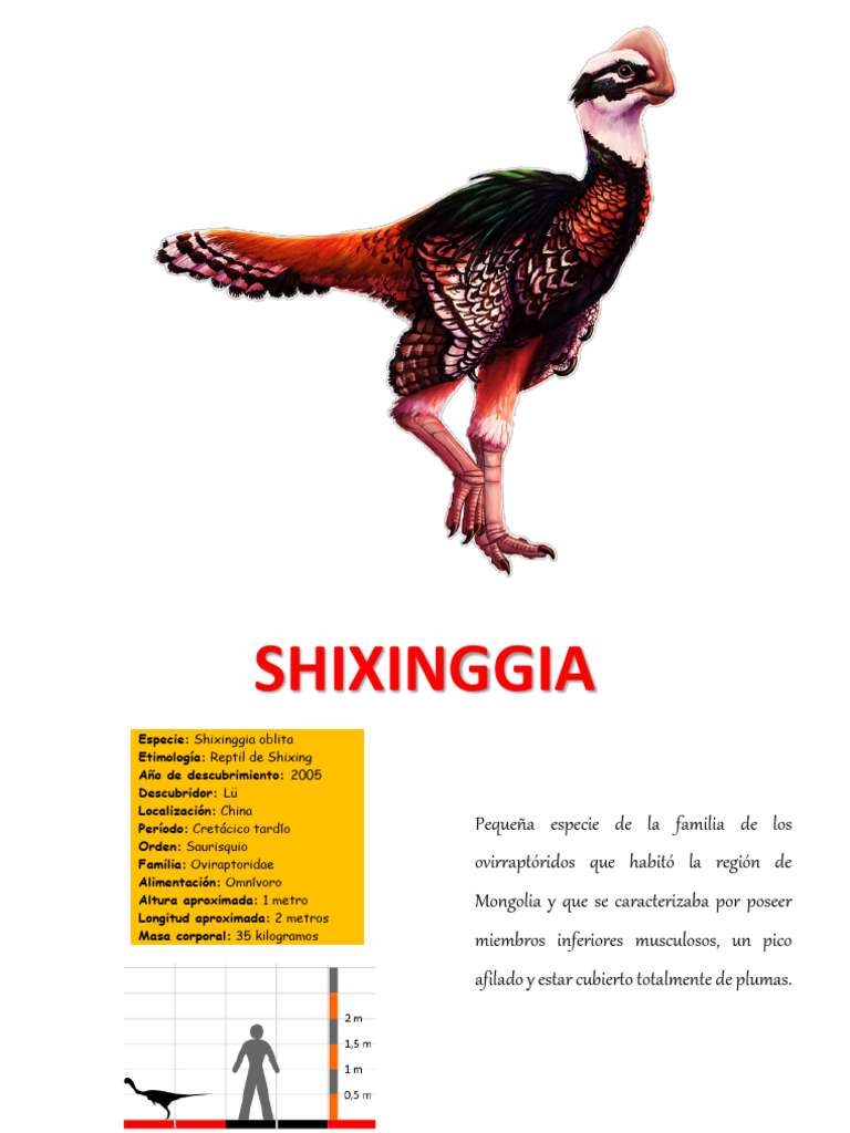 Shixinggia | PDF