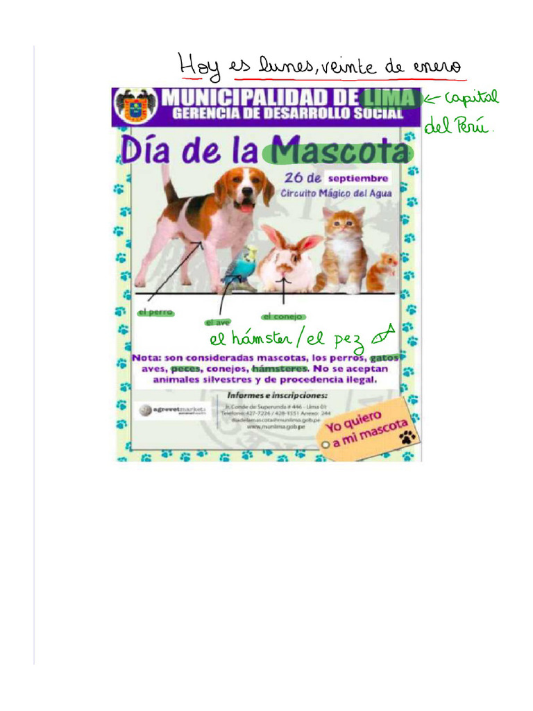 Día de la mascota 5e3 20 janvier | PDF