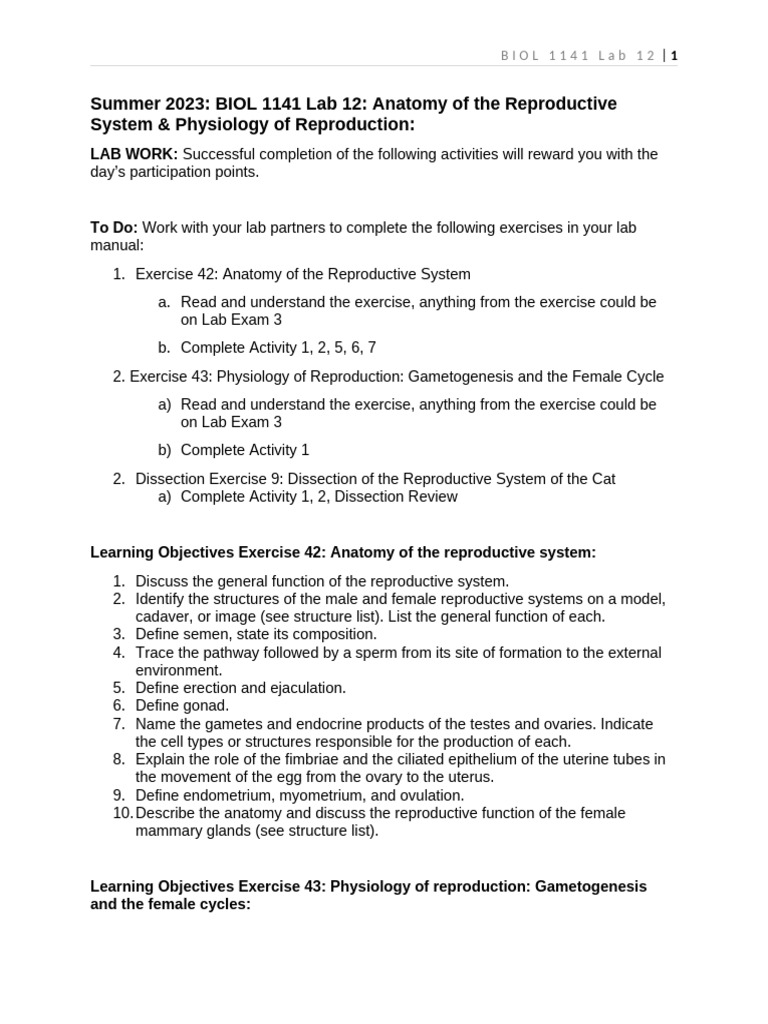 Reproductive System | PDF | Testicle | Uterus