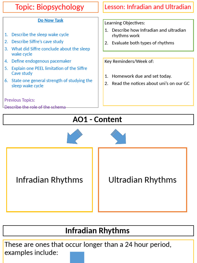 Understanding Ultradian Rhythms | PDF | Sleep | Behavioural Sciences