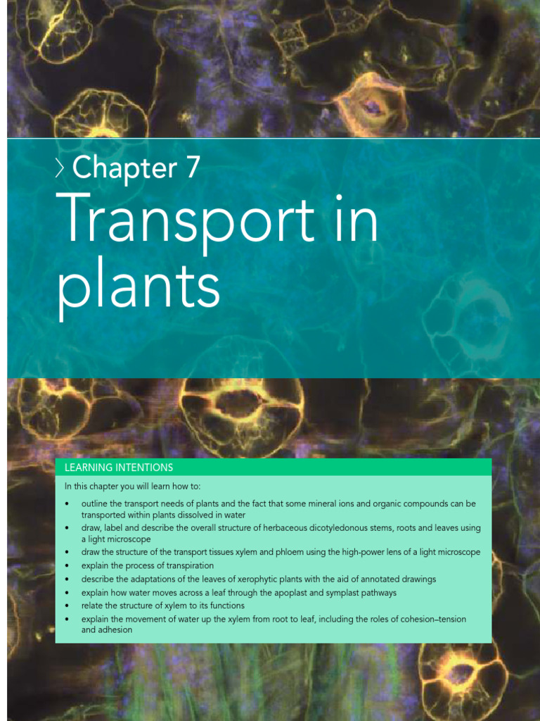 AS 7 Transport in Plants - Book | PDF | Leaf | Stoma