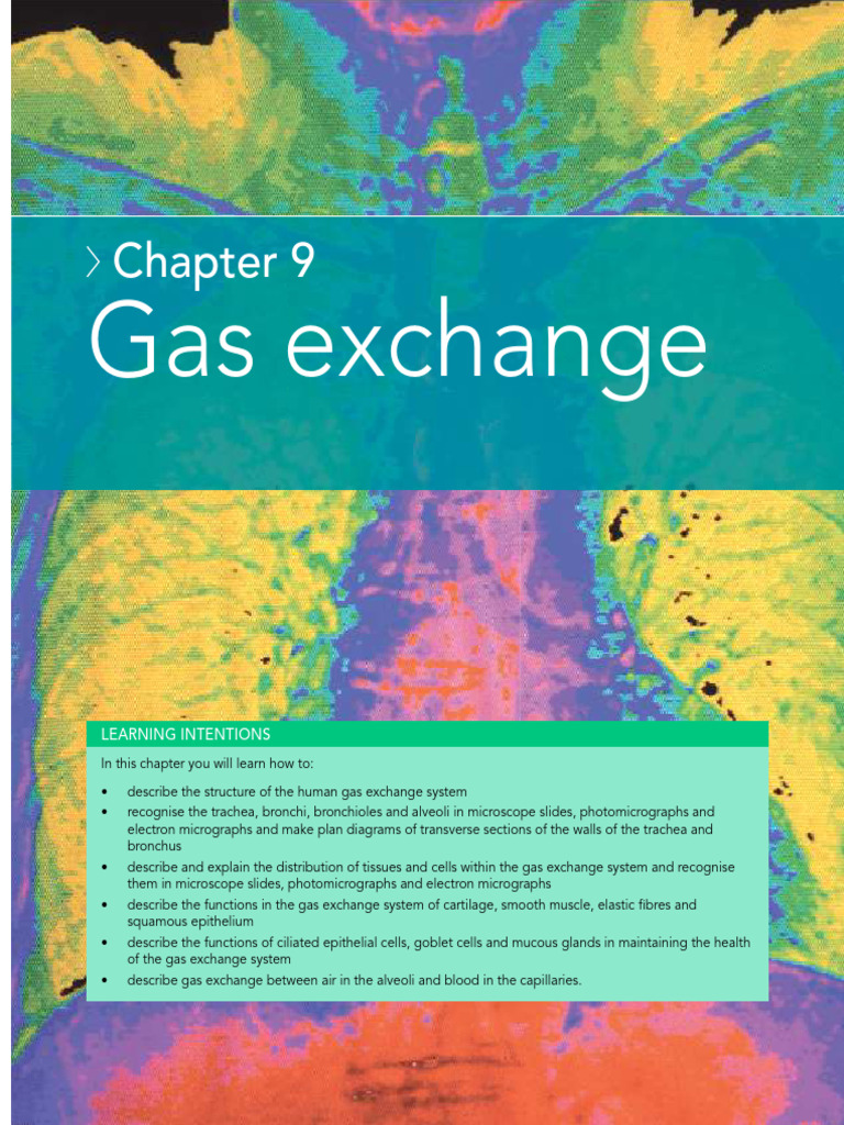 AS 9 Gas Exchange - Book | PDF | Respiratory Tract | Lung