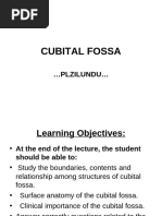 Cubital Fossa Anatomy and Clinical Relevance | PDF | Arm | Human Anatomy