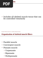 Anatomy of Movement PDF | PDF | Anatomical Terms Of Motion | Skeletal ...