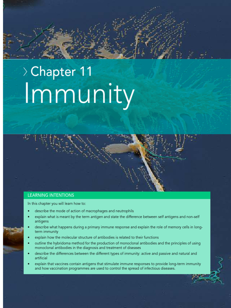 AS 11 Immunity- Book | PDF | Antibody | Immune System