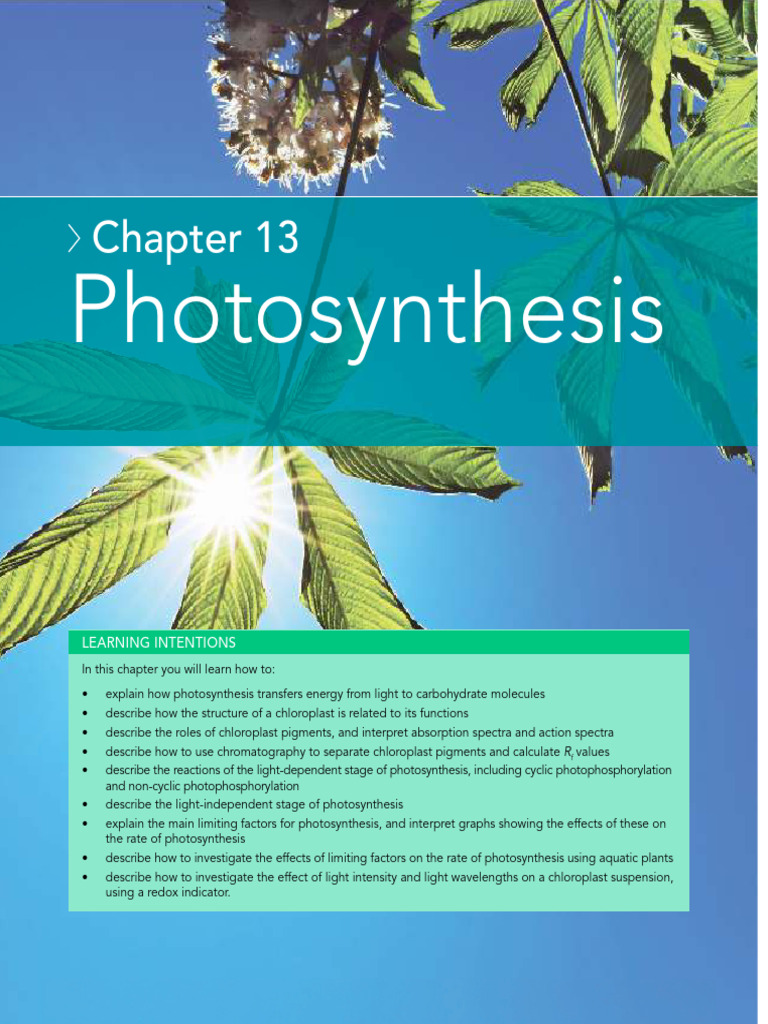 A 13 Photosynthesis - Book | PDF | Photosynthesis | Chloroplast