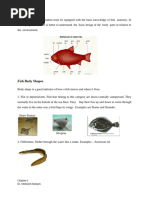 Body Shape of Fishes | PDF | Fin | Fish