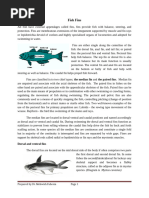Types of Fish Mouths Explained | PDF