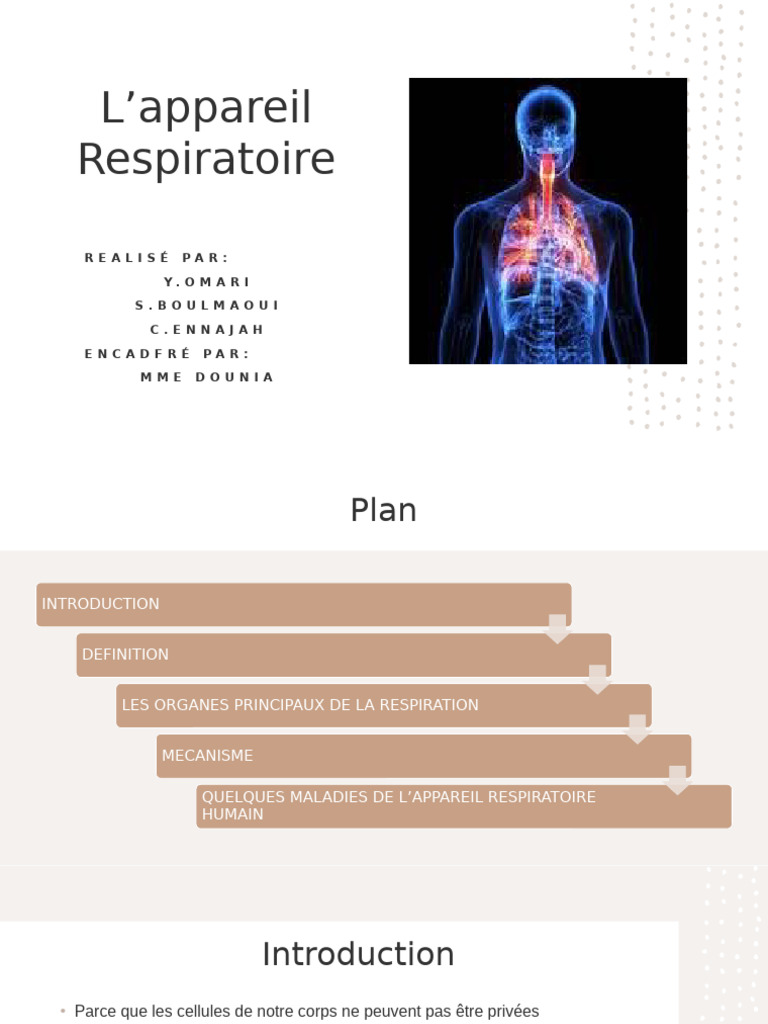 Comprendre le système respiratoire | PDF | Système respiratoire | Poumon