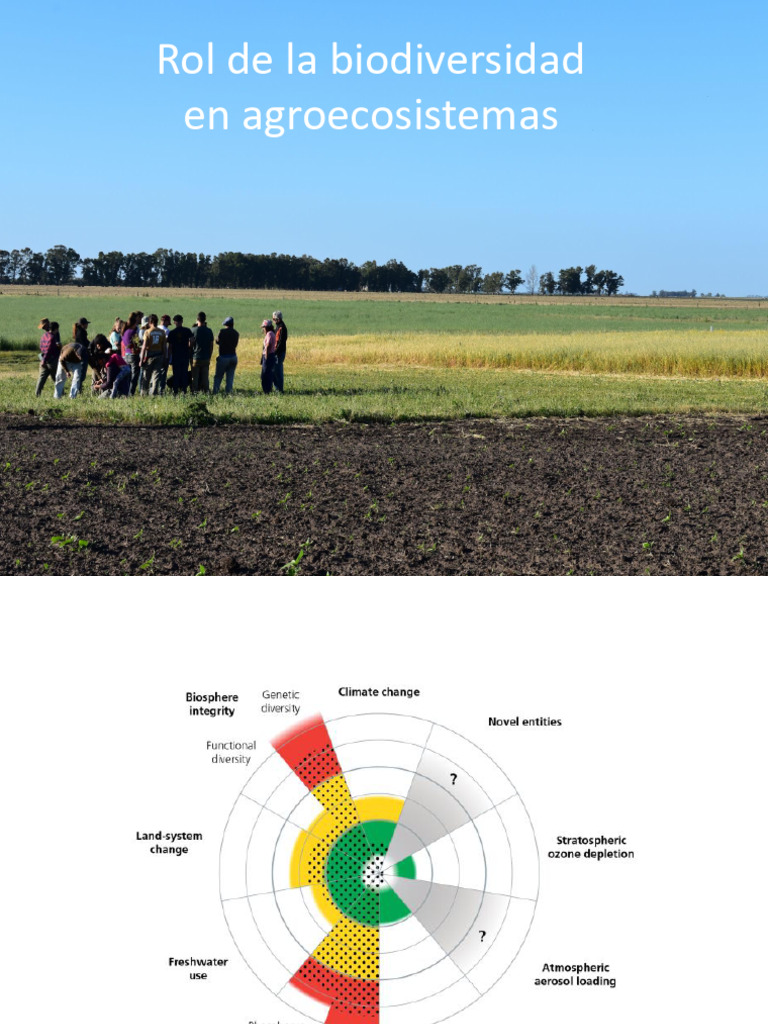 Biodiversidad en Agroecosistemas | PDF | Suelo | Los bosques