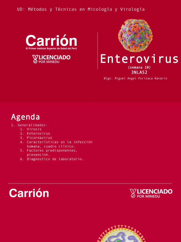 ENTEROVIRUS - PPT | PDF | Virus | Inmunología