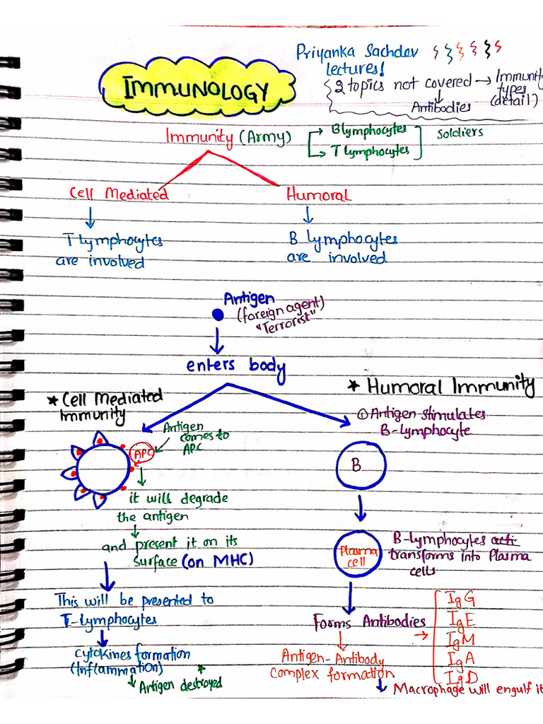Immunology (Huma Khattak) | PDF