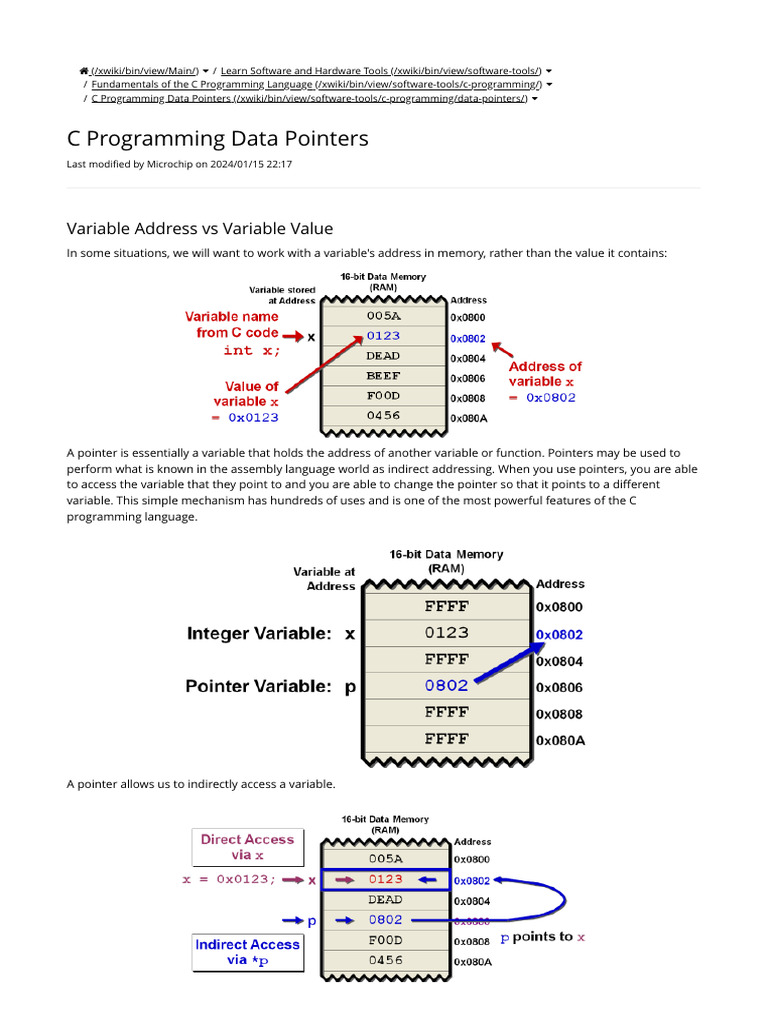 C Programming Data Pointers - Developer Help | PDF
