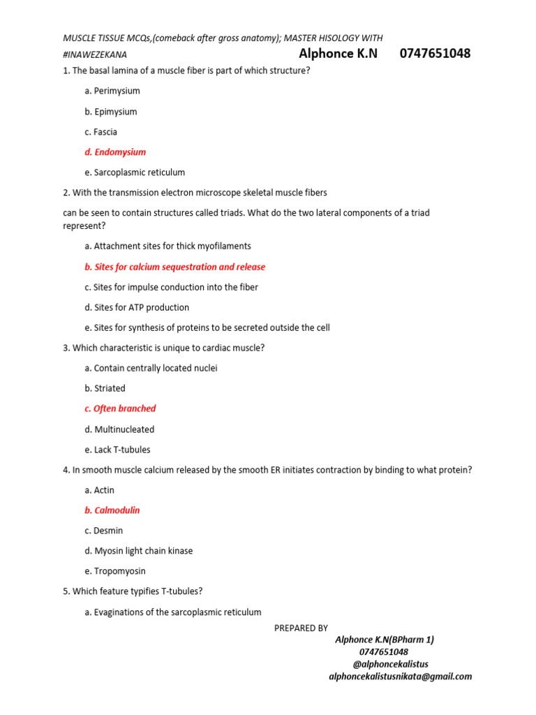 Alphonce K.N Muscle Tissue MCQs | PDF | Muscle Contraction | Skeletal Muscle