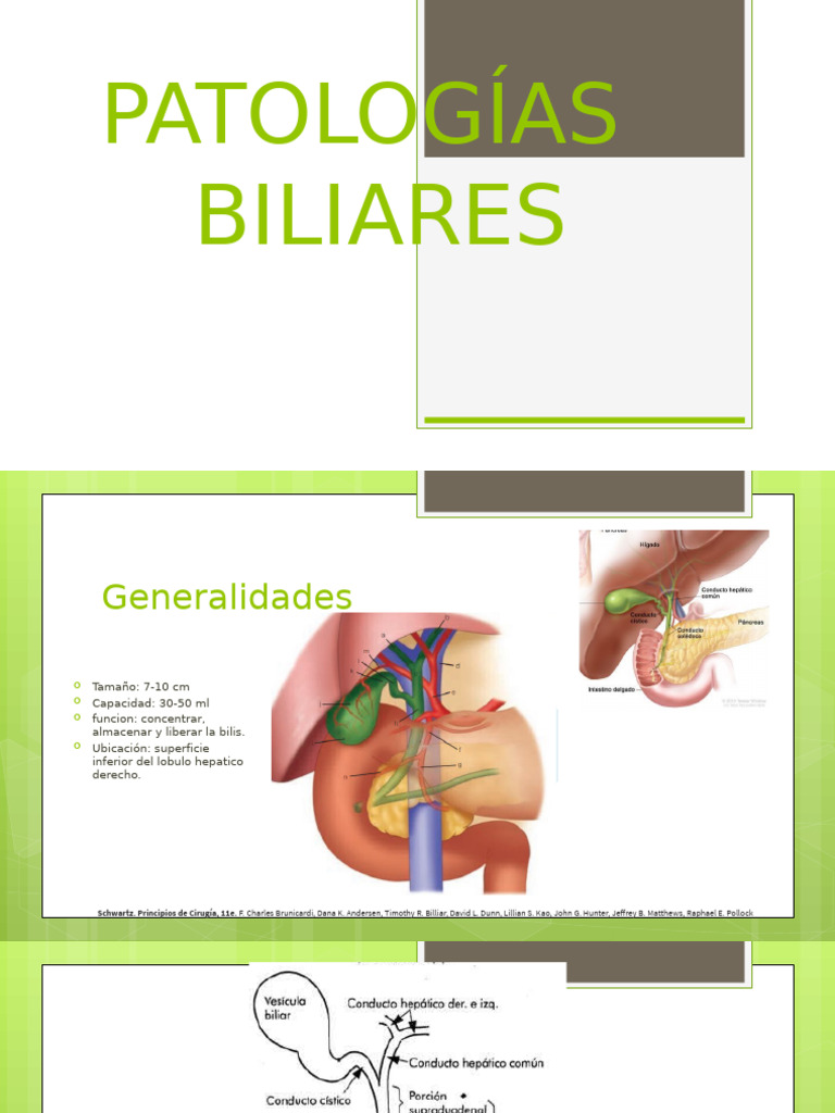 Patologias Biliares Jeje | PDF | Bilis | Abdomen