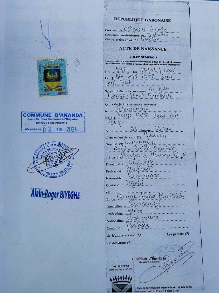 PDF_Phoenix_20240808_180237 | PDF