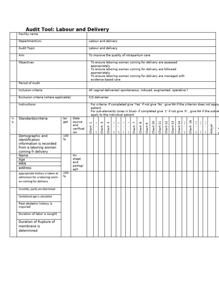 Audit Tool | PDF | Women's Health | Mammalian Pregnancy