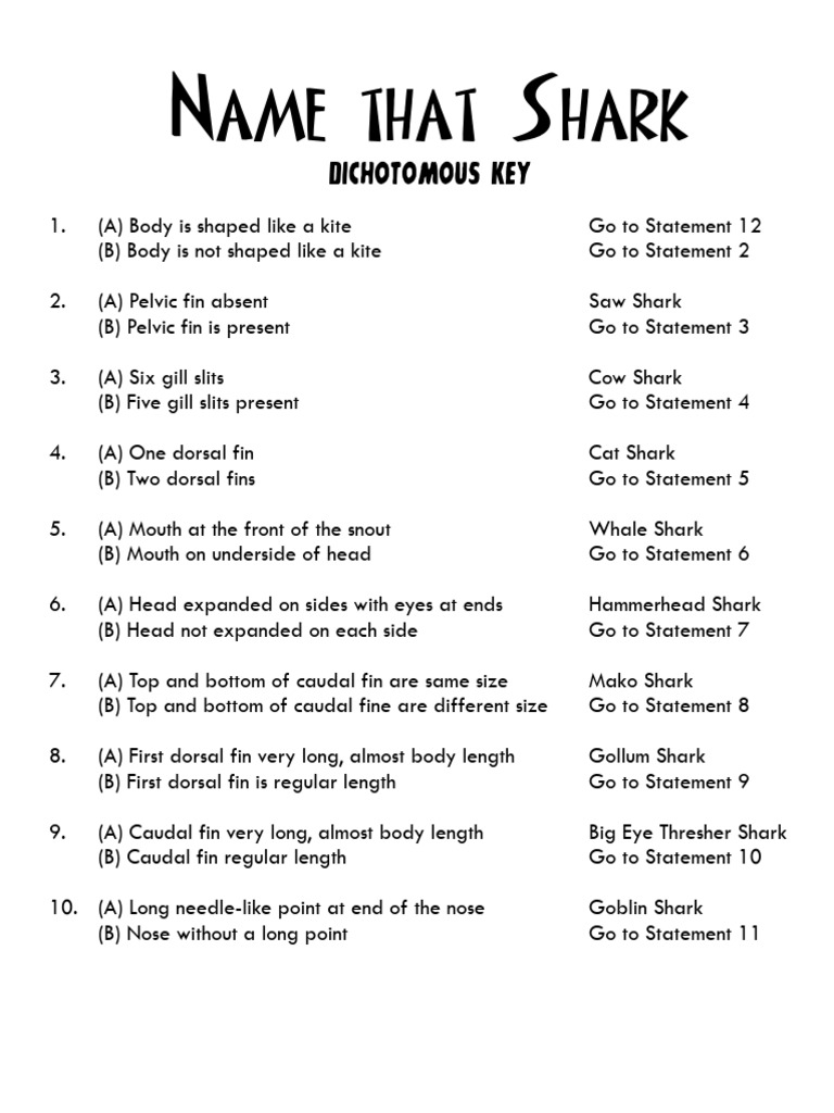 Name That Shark Dichotomous Key | PDF