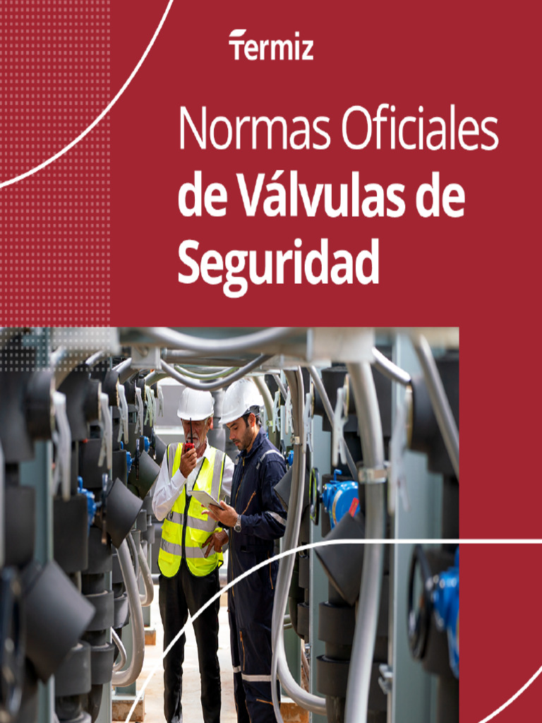 Norma V Lvulas de Seguridad 1737606724 | PDF