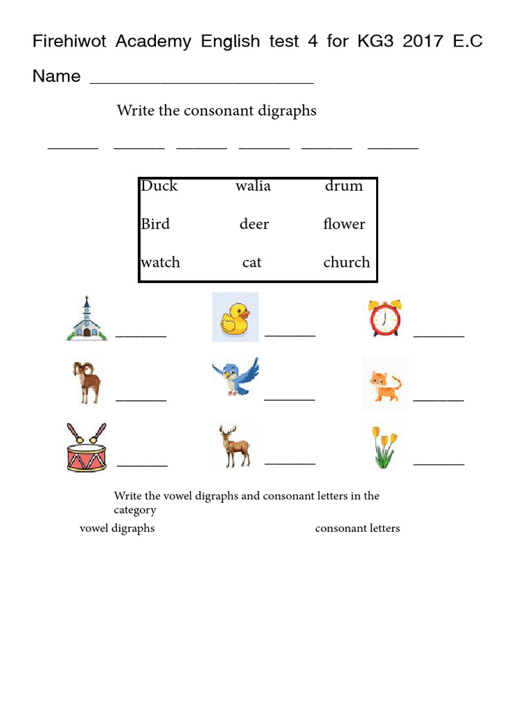 Test For Kindergarten | PDF