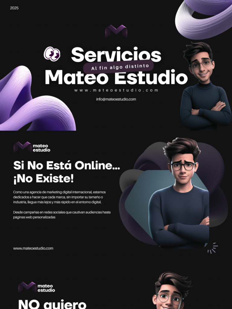 Servicios Mateo Estudio 2025 | PDF