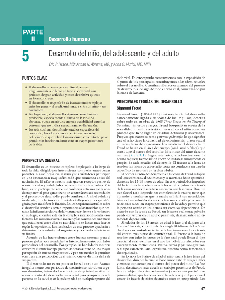 5. Desarrollo del niño, del adolescente y del adulto | PDF | Neurona | Cerebro