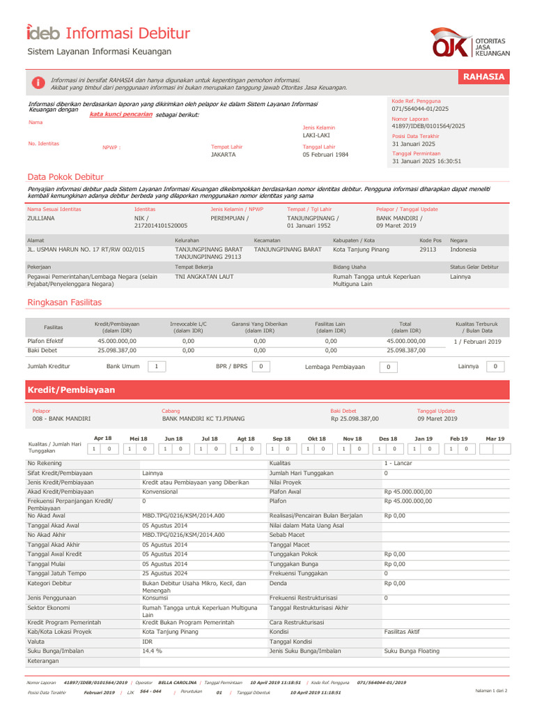 Contoh Hasil Slik Ojk | PDF