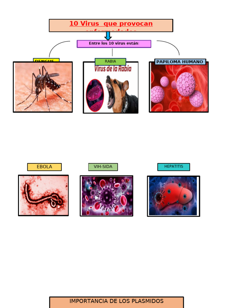 10 Virus y Prevención de COVID-19 | PDF | Virus | Plásmido
