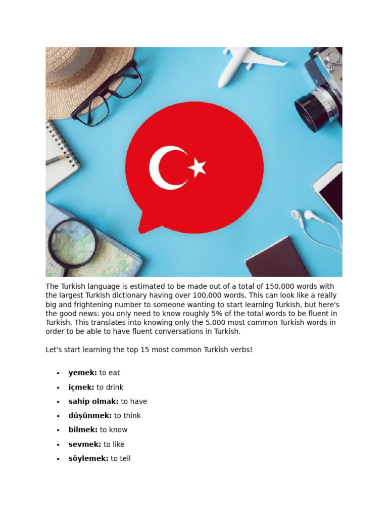 15 Principal Turkish Verbs | PDF
