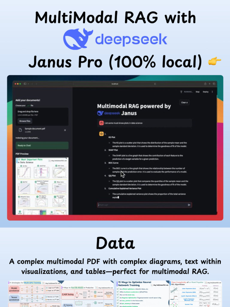 MultiModal RAG with DeepSeek's latest Janus-Pro | PDF