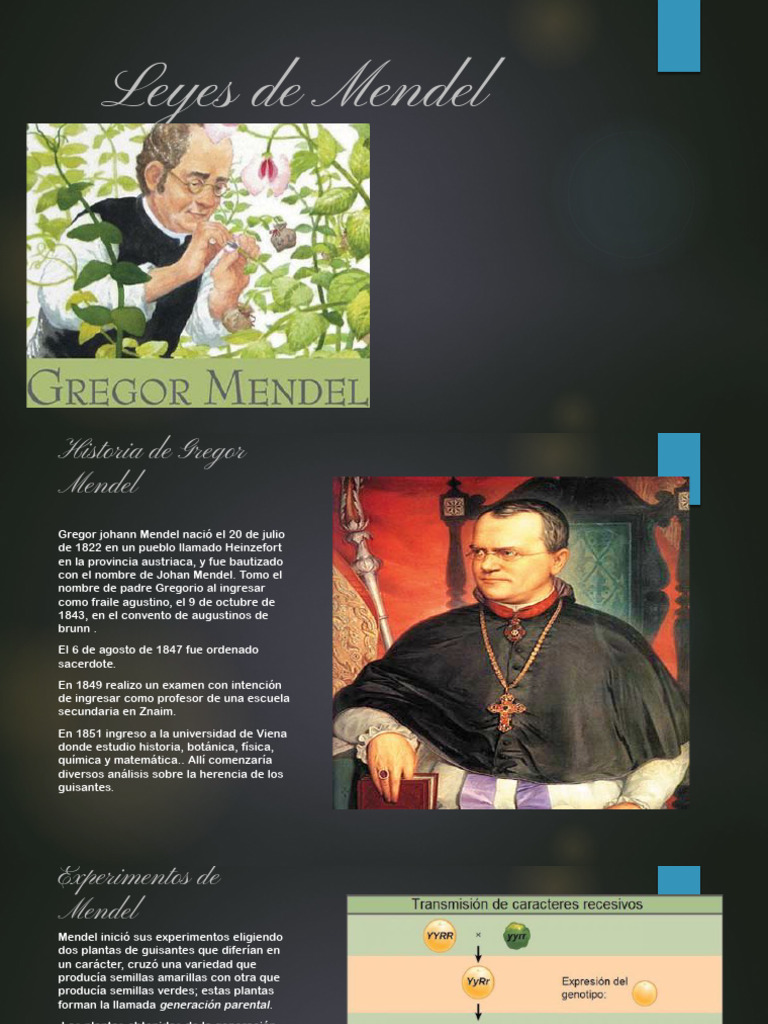 Leyes de Mendel y su legado científico | PDF | Dominancia (Genética ...