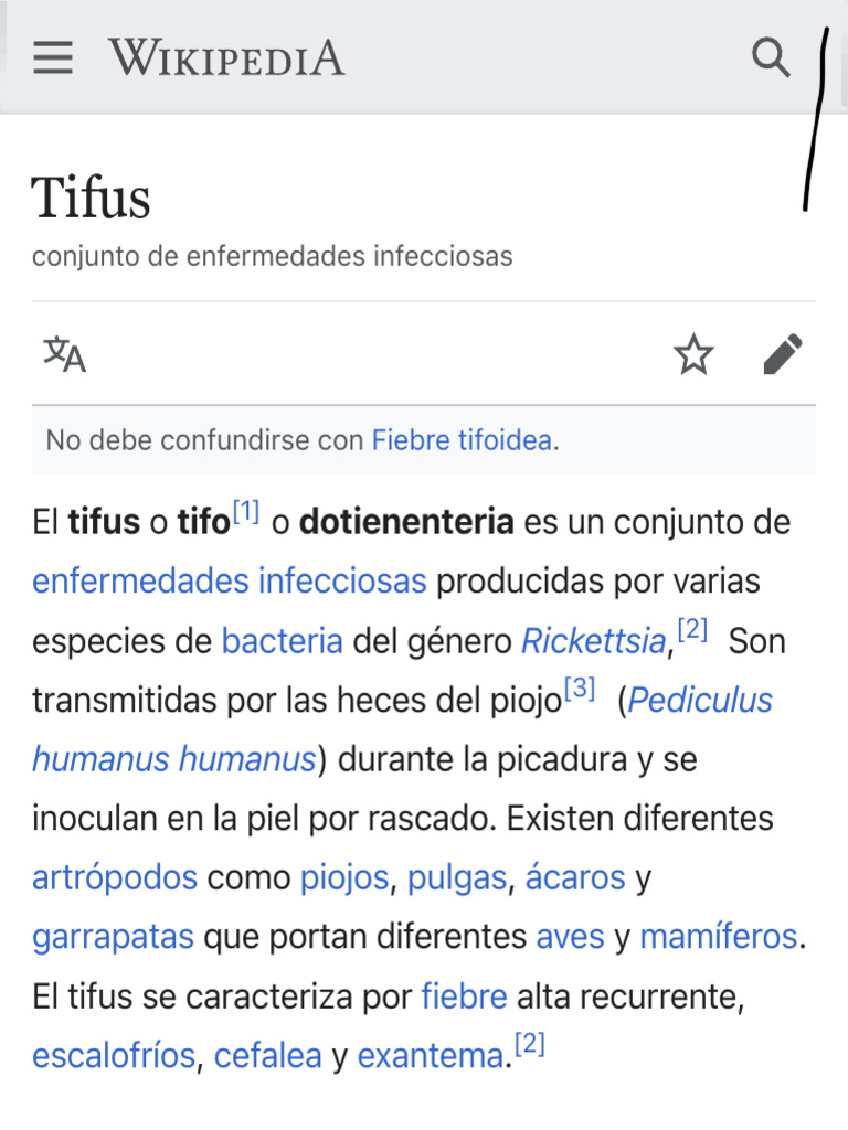 Tifus: Enfermedades Infecciosas y Síntomas | PDF
