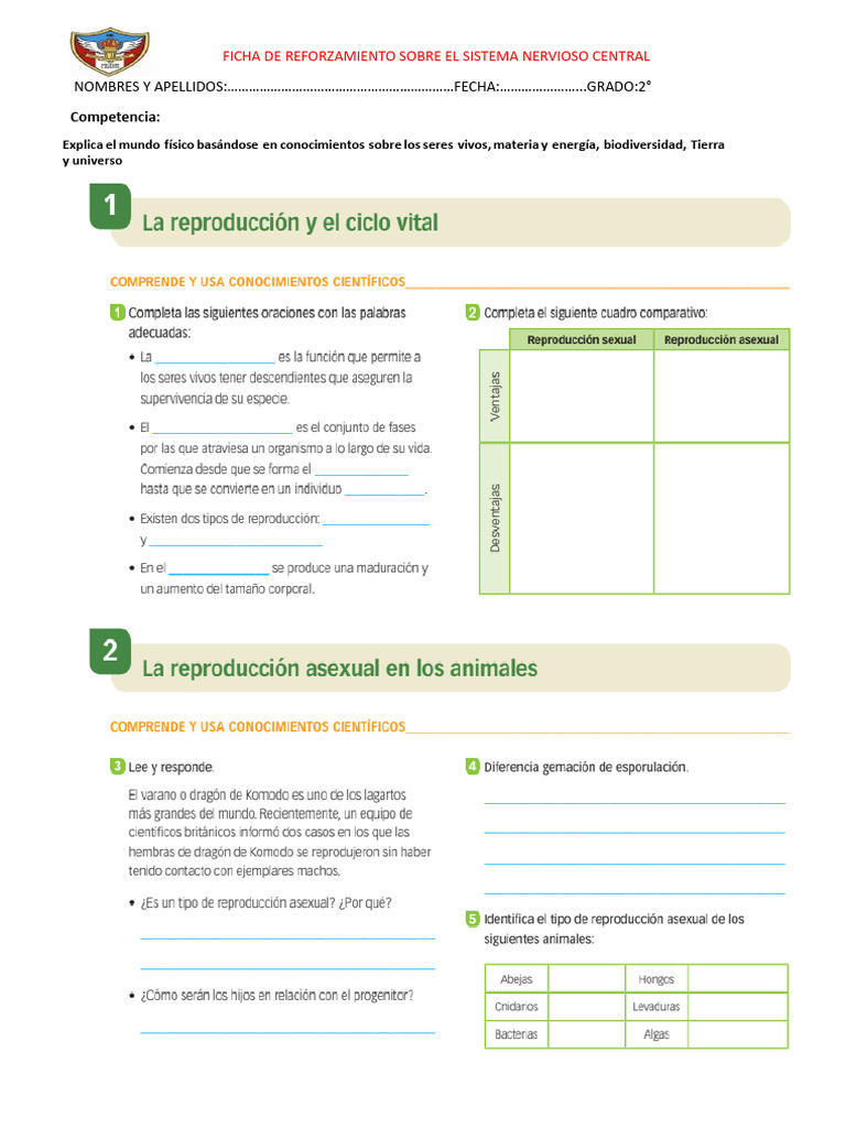 Ficha de Reforzamiento Sobre Reproduccion | PDF