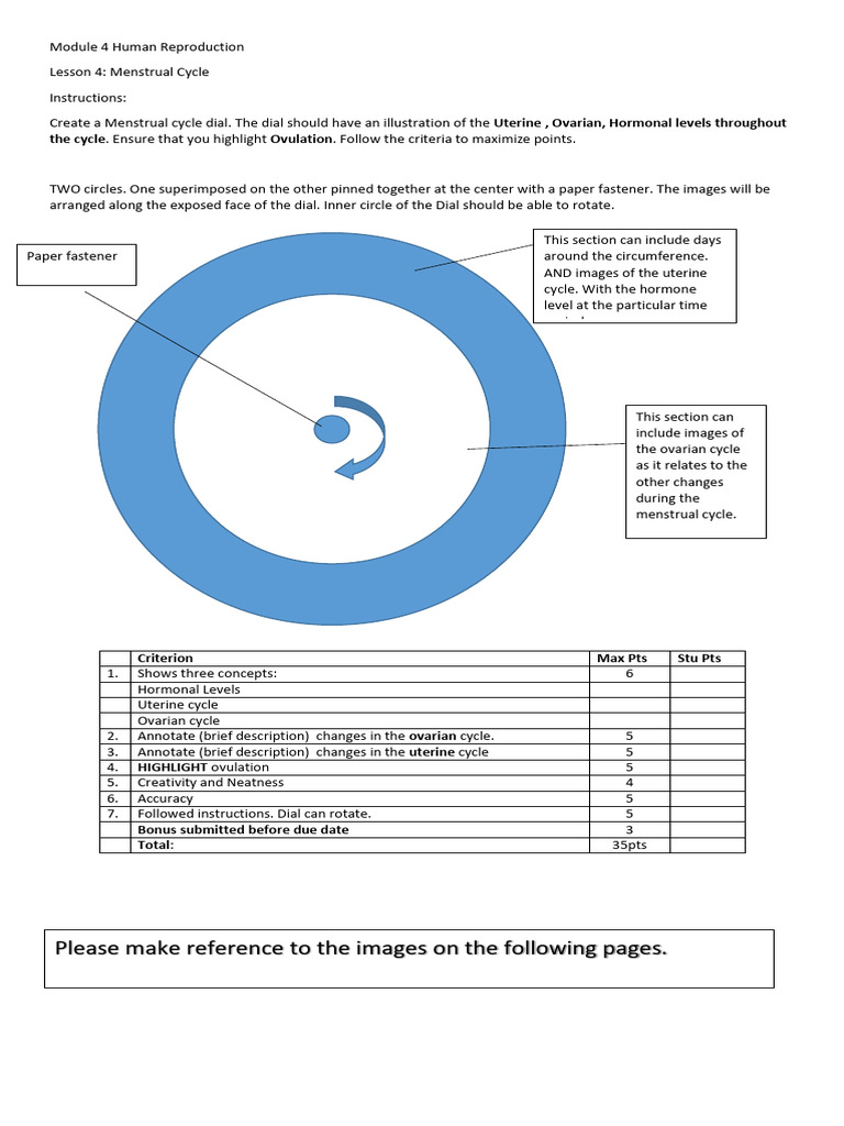 1.4 Assessment - Menstrual Cycle DIAL-M4L3 | PDF | Menstrual Cycle | Ovary